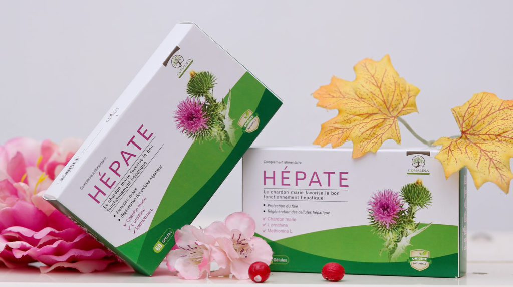 Thực hư công dụng của cây kế sữa - Có đúng là “thần dược” bảo vệ gan ...